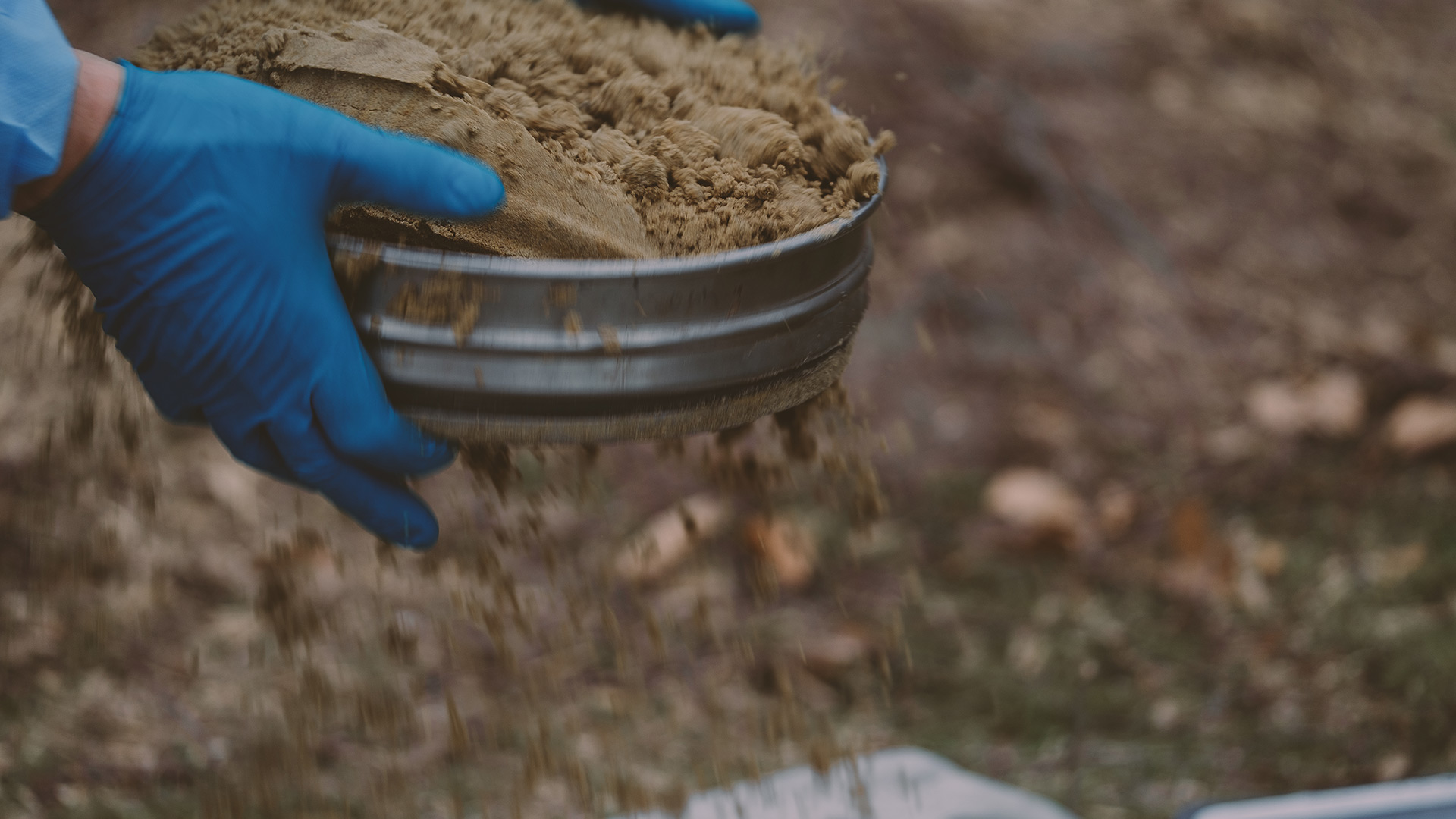 BDOK - bodem digitaal op de kaart