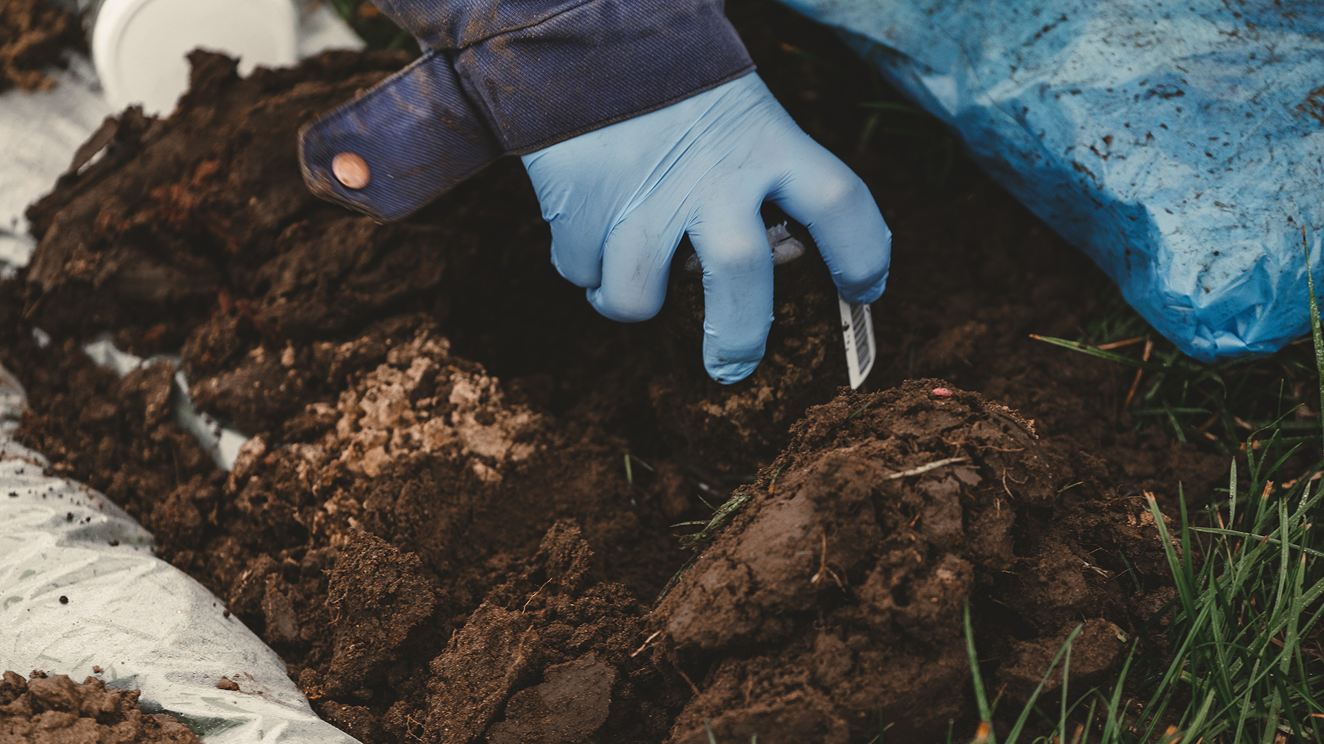 BDOK - bodem digitaal op de kaart